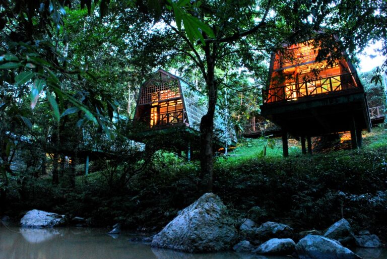 Best Borneo Rainforest Lodges To Stay In | Wildlife Trails