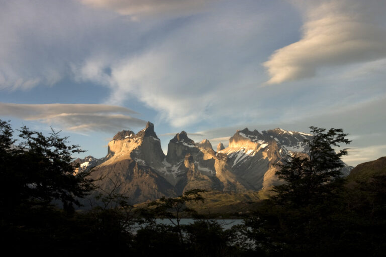 Puma Safari & Chile Wildlife Holiday In Torres Del Paine| Wildlife Trails