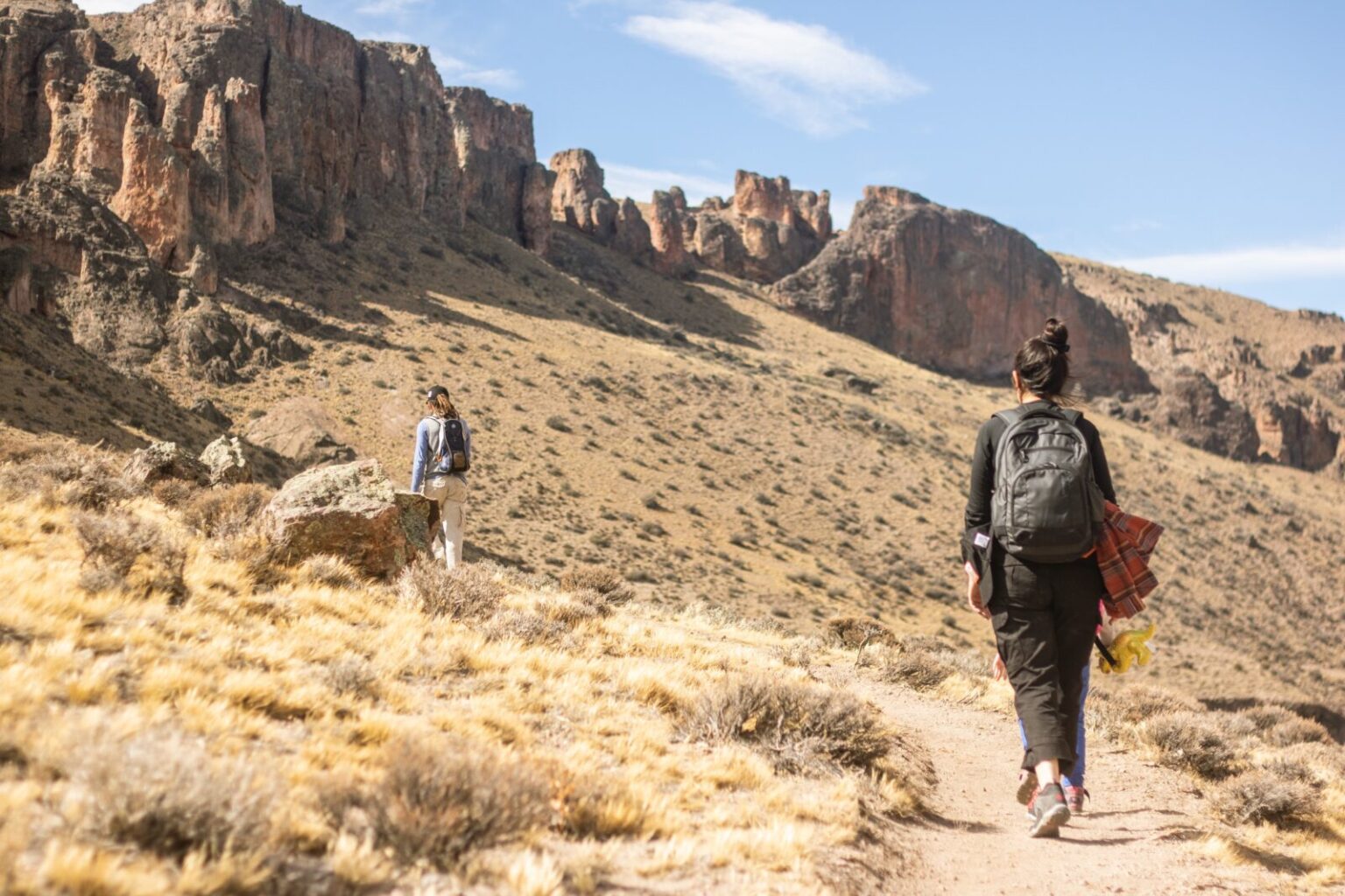 Puma Safari Patagonia - Wildlife Trails